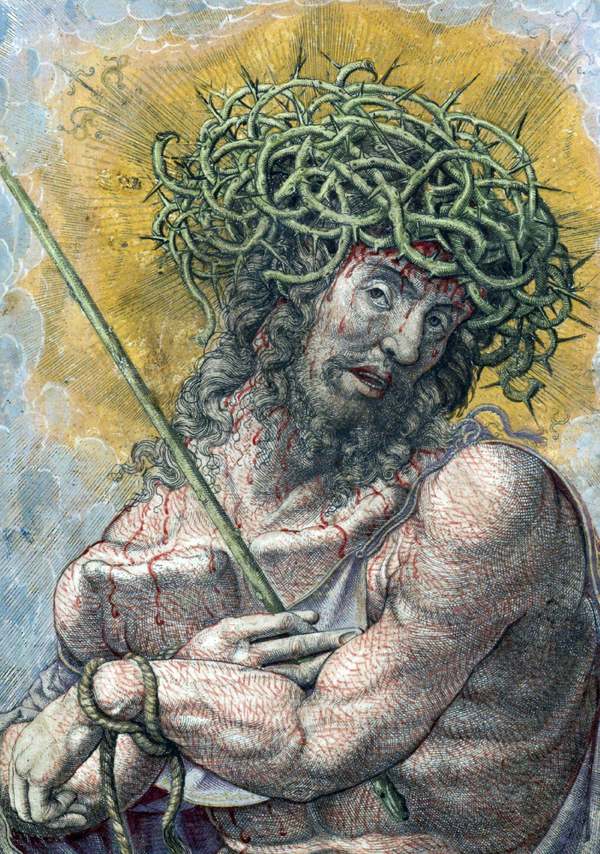 Anointed One ebook | Shop Illustrated Books, eBooks and Prints