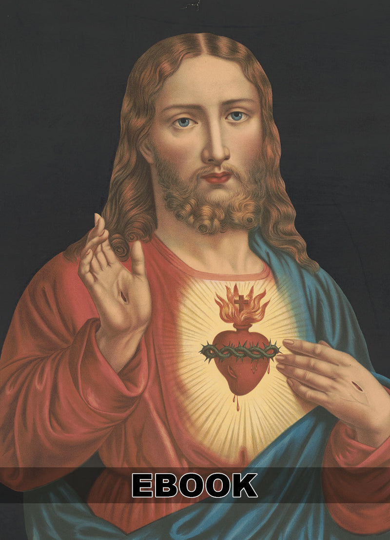 Anointed One ebook | Shop Illustrated Books, eBooks and Prints