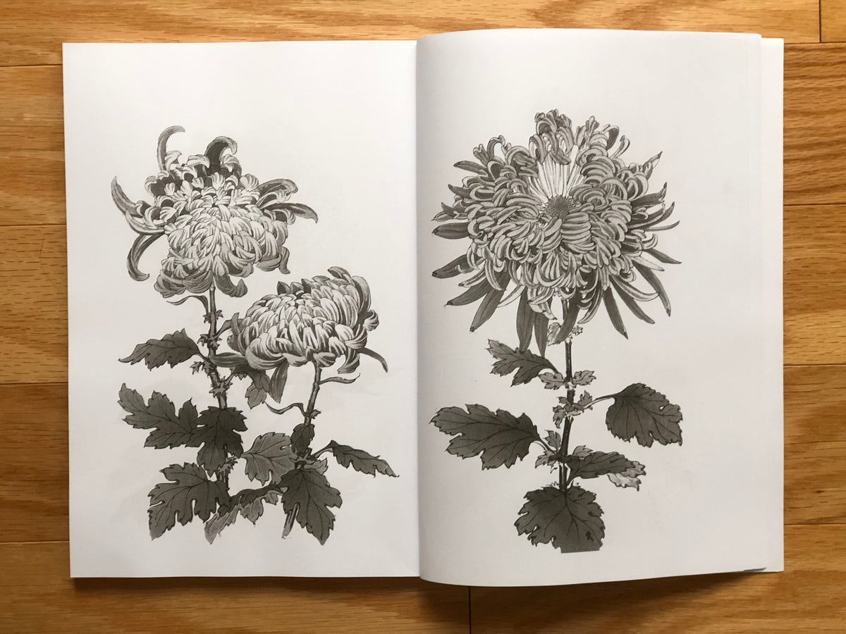 Japanese Foliage ebook | Shop Illustrated Books, eBooks and Prints
