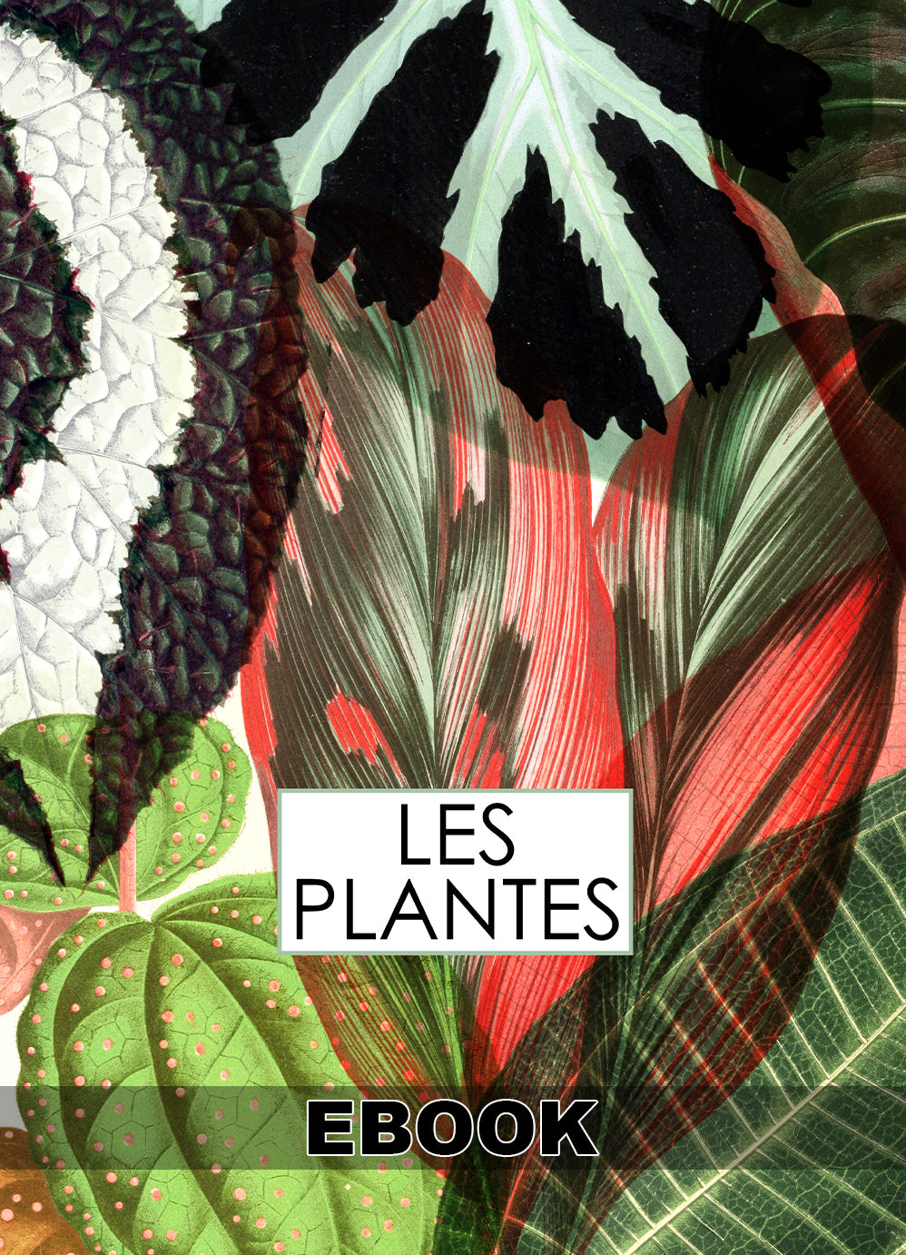Les Plantes | Book | Shop Illustrated Books, eBooks and Prints