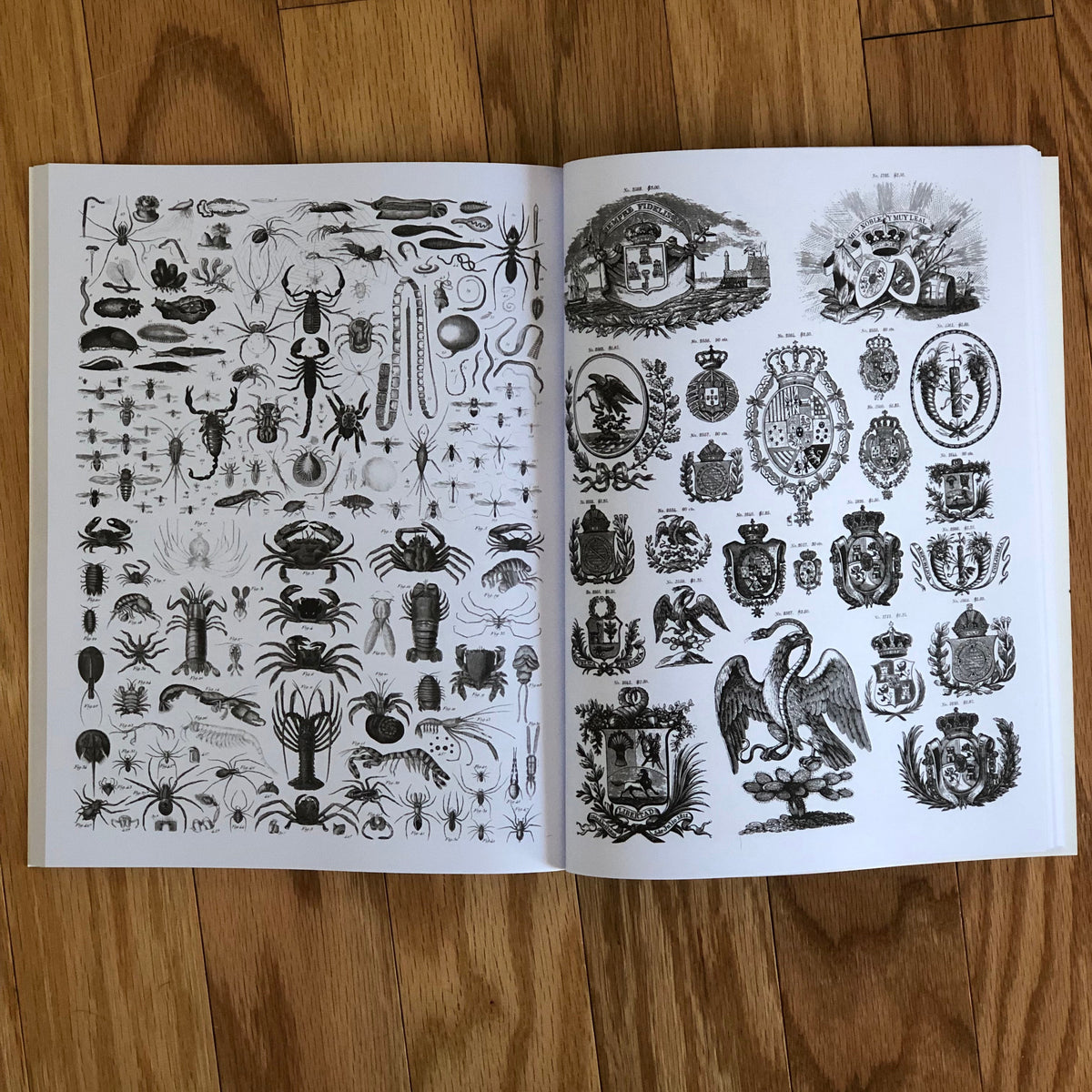 Maximum Overload ebook | Shop Illustrated Books, eBooks and Prints