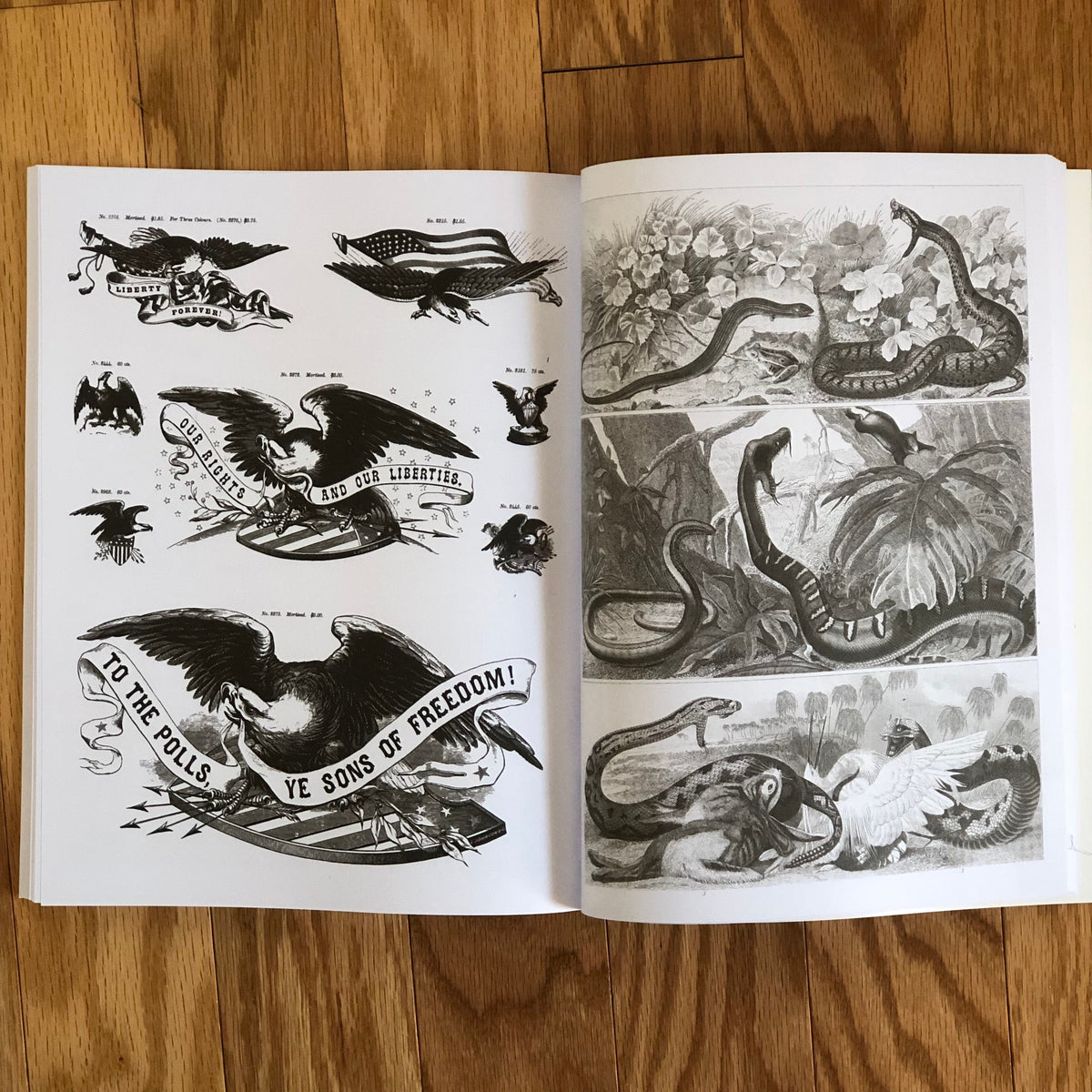 Maximum Overload ebook | Shop Illustrated Books, eBooks and Prints