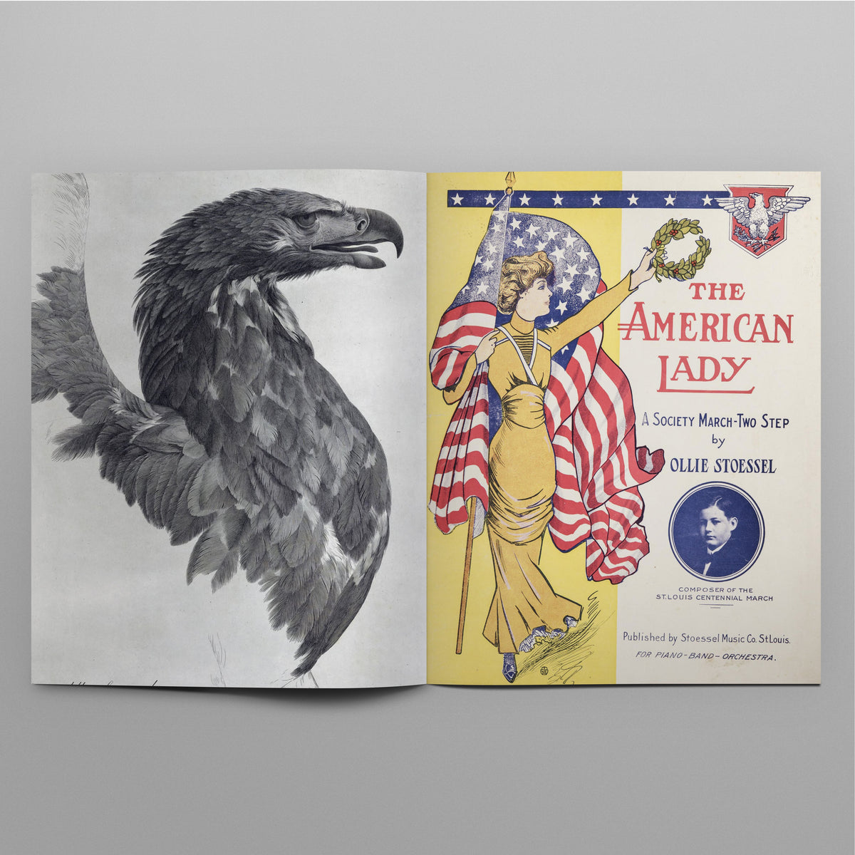 American Traditional Book | Shop Illustrated Books, eBooks and Prints
