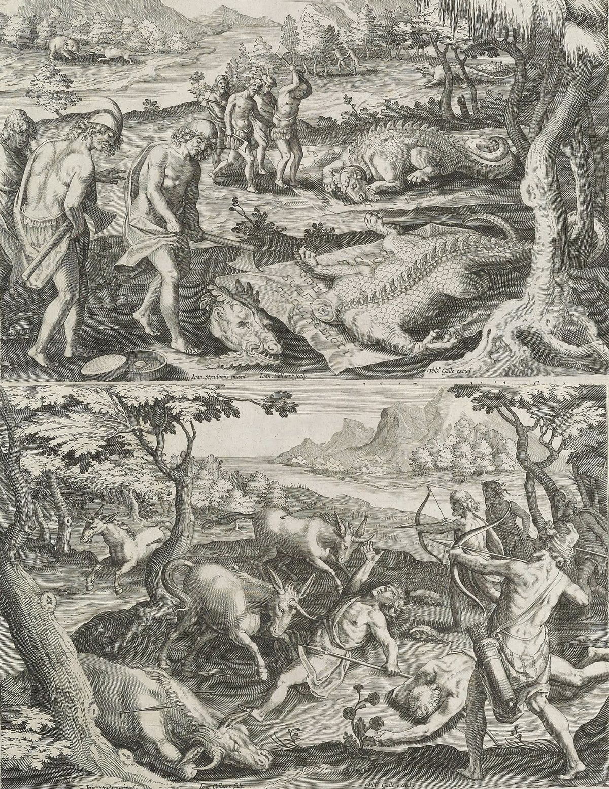 Animal Attack | eBook | Shop Illustrated Books, eBooks and Prints