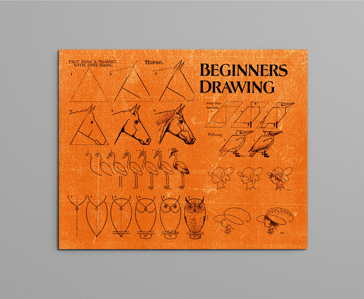 Beginners Drawing | Shop Illustrated Books, eBooks and Prints