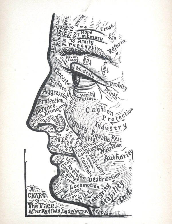 Book of Life | Shop Illustrated Books, eBooks and Prints