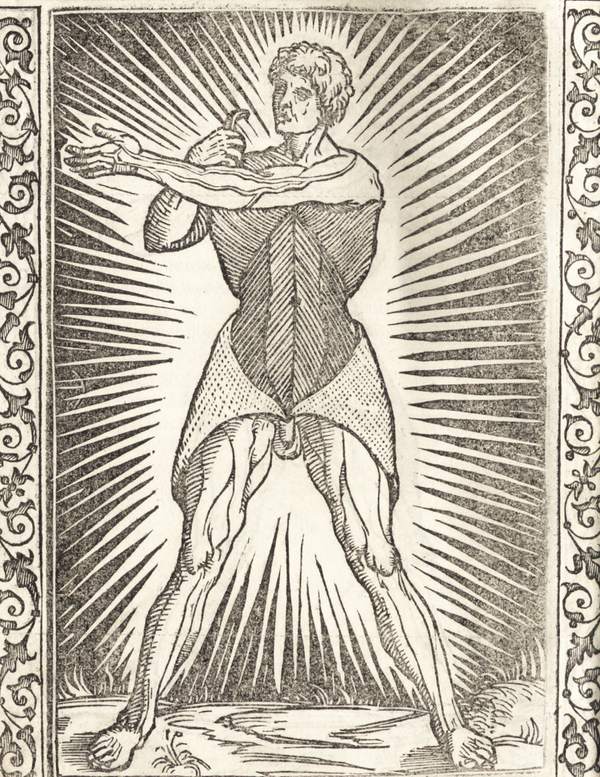 Dissection of Man | Shop Illustrated Books, eBooks and Prints