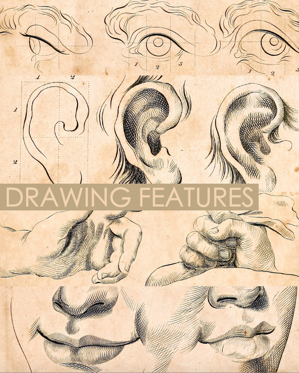 Drawing Features | Shop Illustrated Books, eBooks and Prints