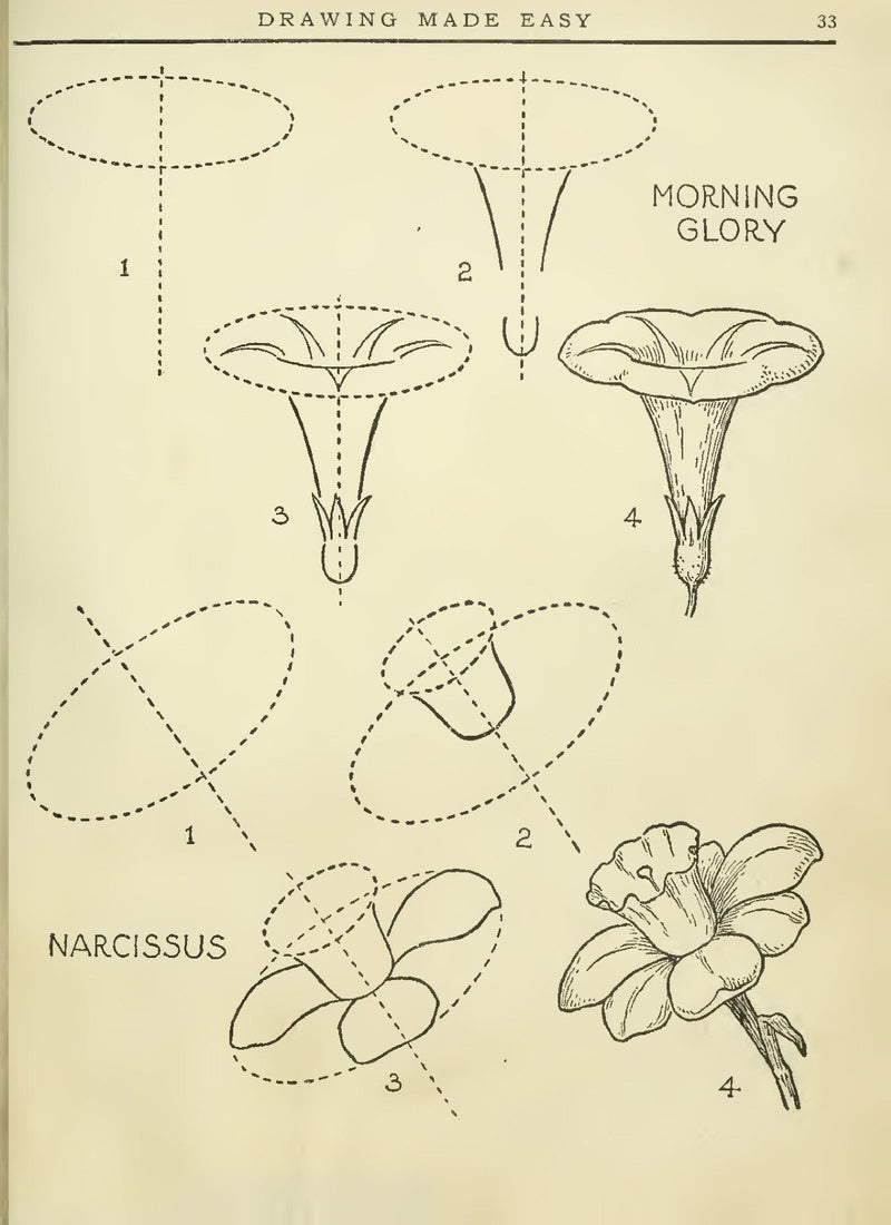 Drawing Made Easy | Shop Illustrated Books, eBooks and Prints