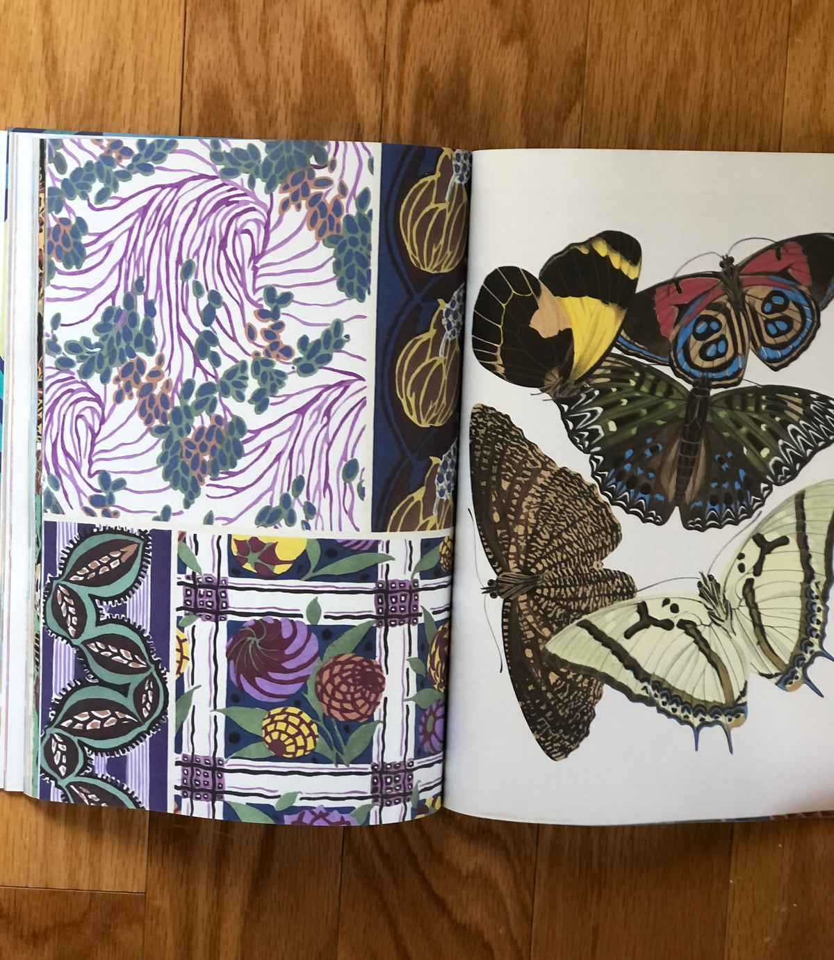 E.A. Seguy | Shop Illustrated Books, eBooks and Prints