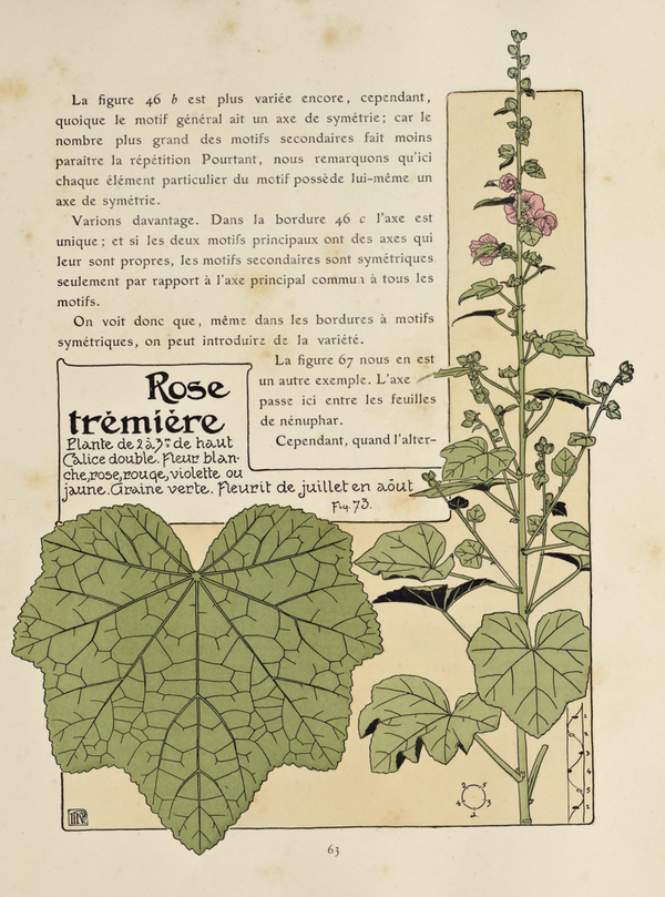 Etude de la plante | Shop Illustrated Books, eBooks and Prints