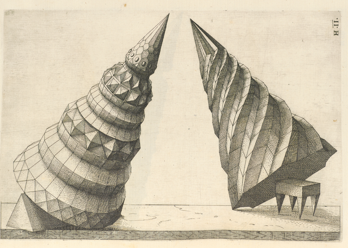 Geometric Shapes | Shop Illustrated Books, eBooks and Prints