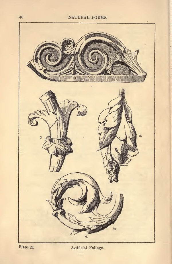 Ornamental | Shop Illustrated Books, eBooks and Prints