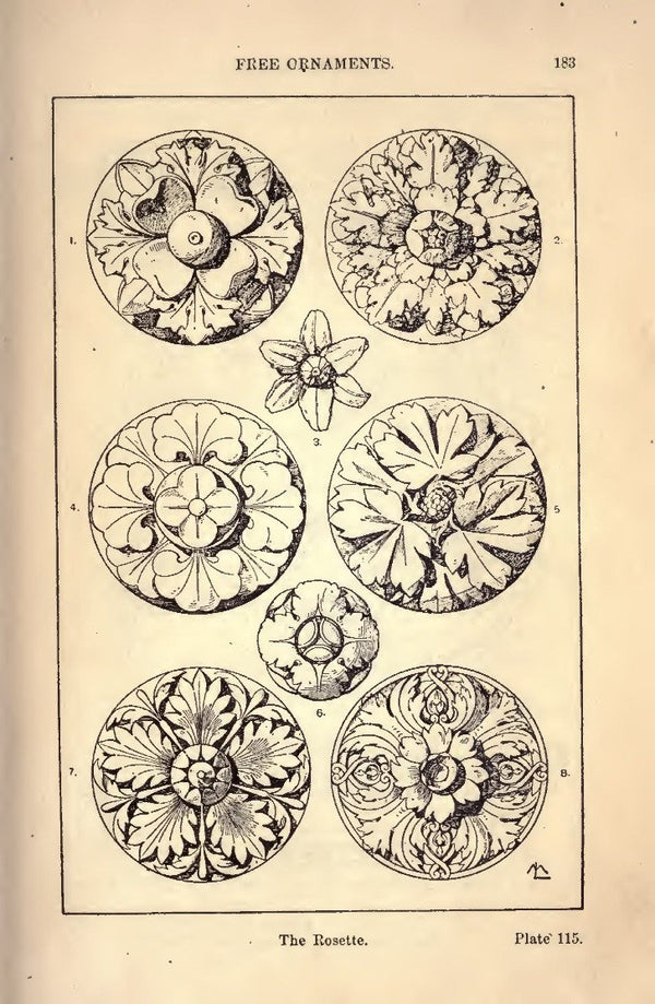 Ornamental | Shop Illustrated Books, eBooks and Prints