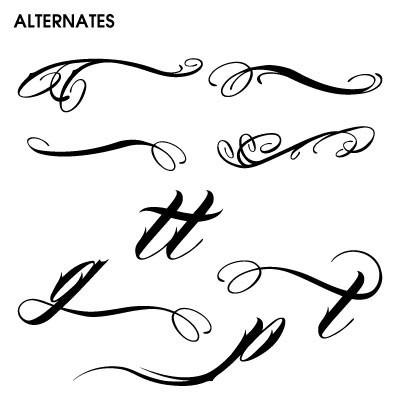 Inked Script | Fonts | Shop Illustrated Books, eBooks and Prints