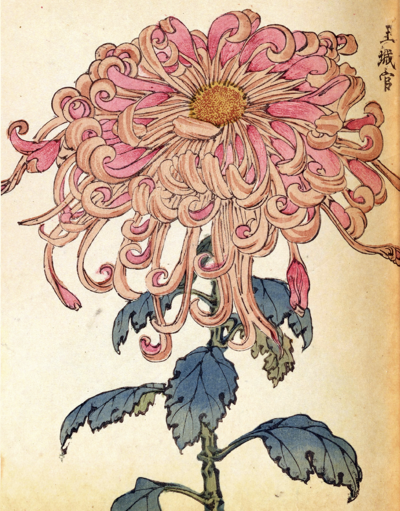 Japanese Flower Painting