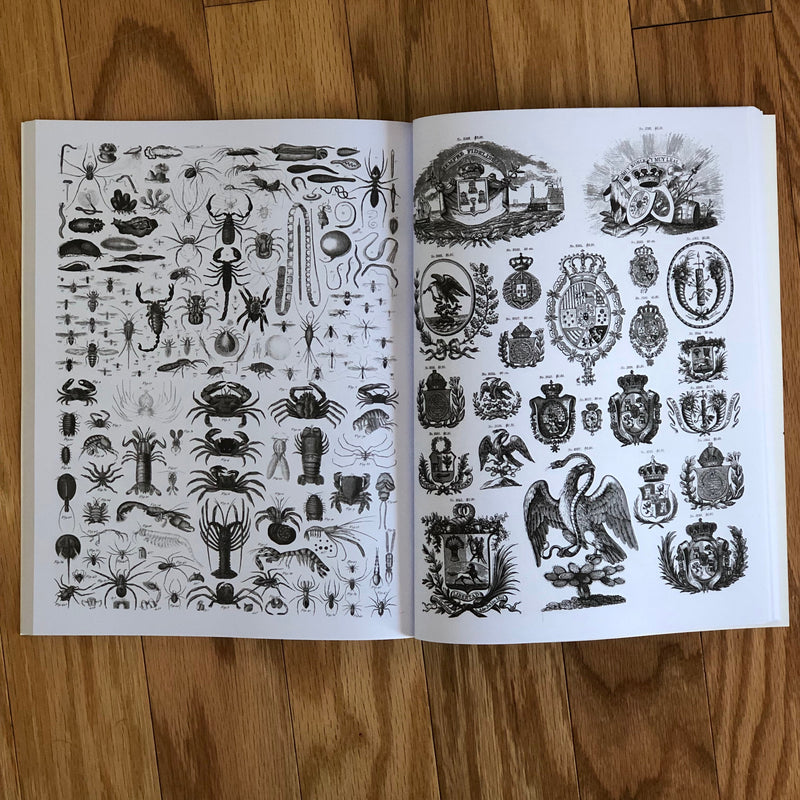 Maximum Overload | Shop Illustrated Books, eBooks and Prints