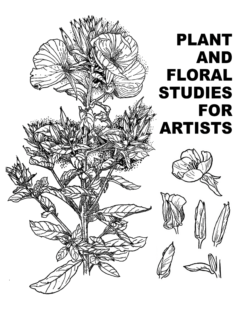 Plant Studies for Artists | Shop Illustrated Books, eBooks and Prints