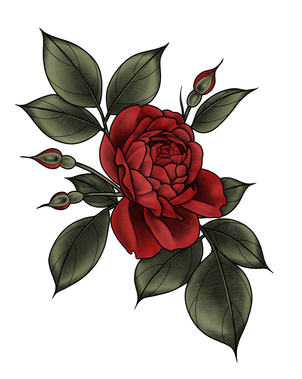 Roses by Amanda Rodriguez | eBook | Shop Illustrated Books, eBooks and ...