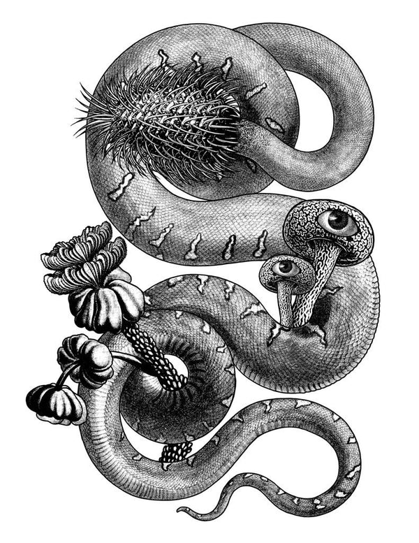 Sacred Serpents | eBook | Shop Illustrated Books, eBooks and Prints