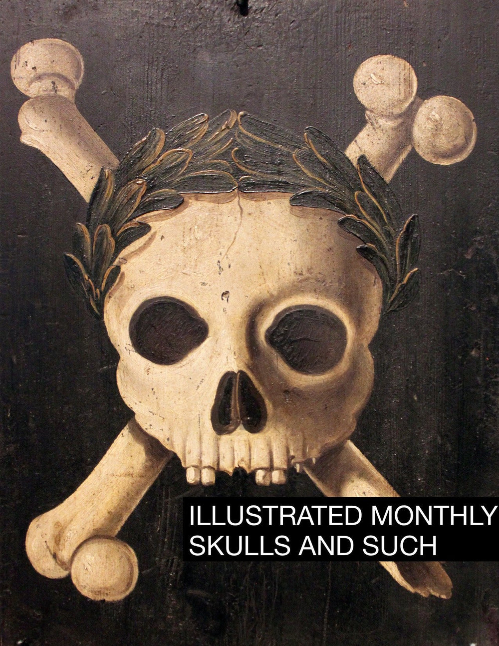 Skulls Volume 1 | Shop Illustrated Books, eBooks and Prints