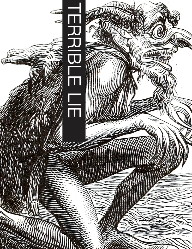 Terrible Lie | Shop Illustrated Books, eBooks and Prints