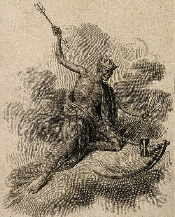 the ripping | Shop Illustrated Books, eBooks and Prints