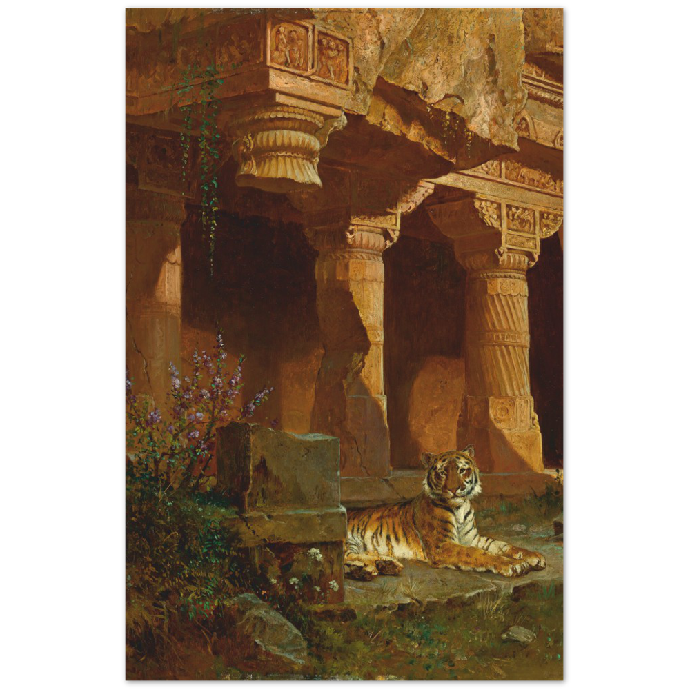 Tiger At Rest | Shop Illustrated Books, eBooks and Prints